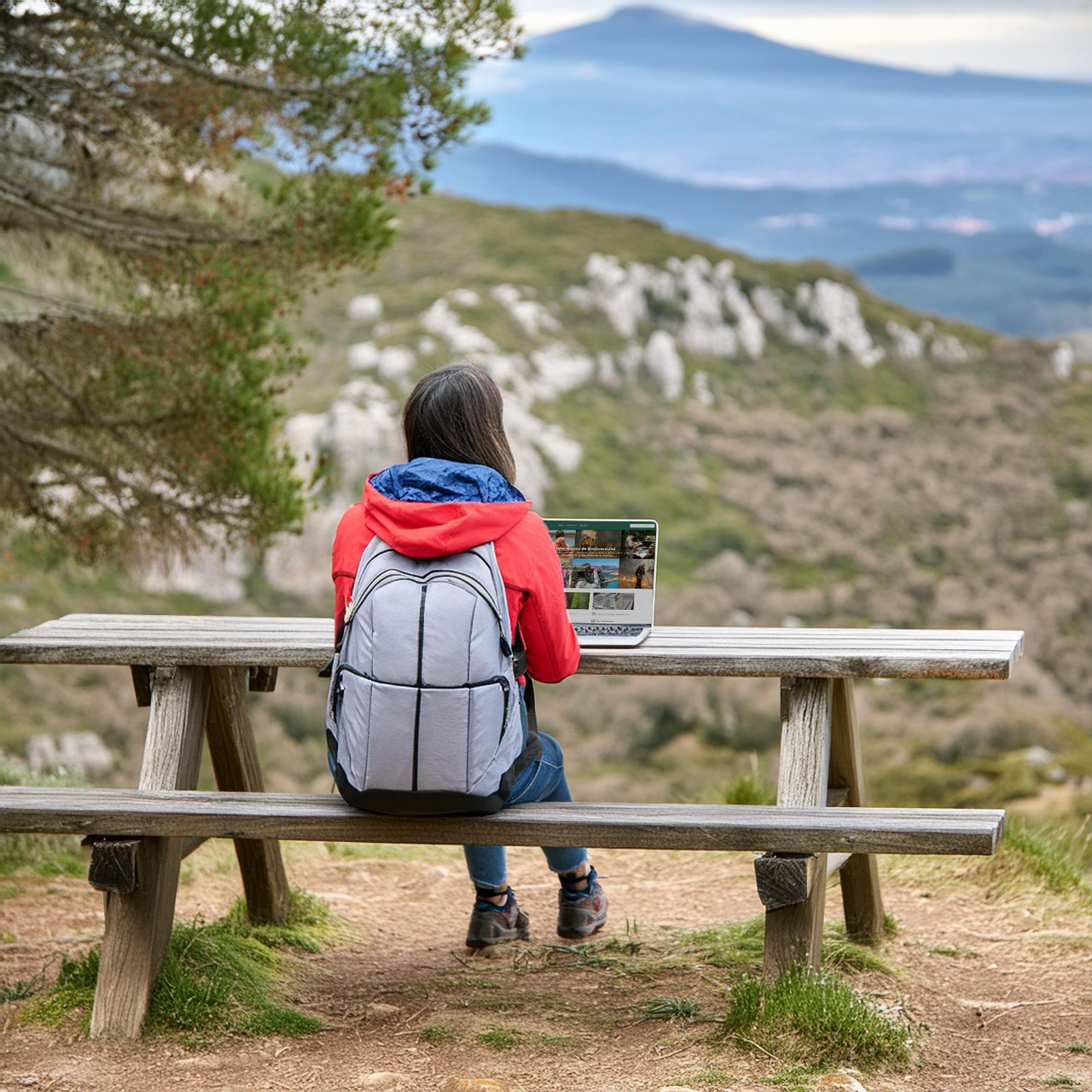 Portal informativo - Panalsoft